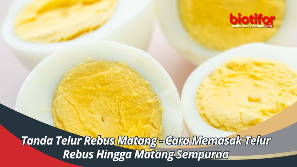 Tanda Telur Rebus Matang - Cara Memasak Telur Rebus Hingga Matang Sempurna