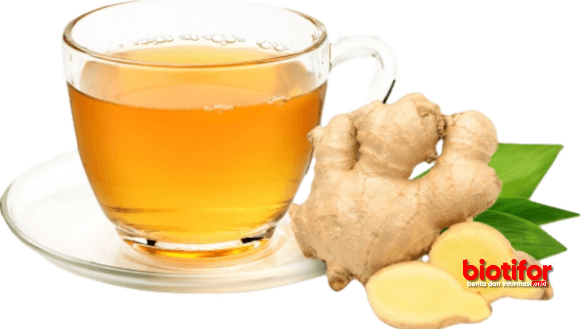 Manfaat Teh Jahe yang Luar Biasa untuk Kesehatan Anda - Biotifor