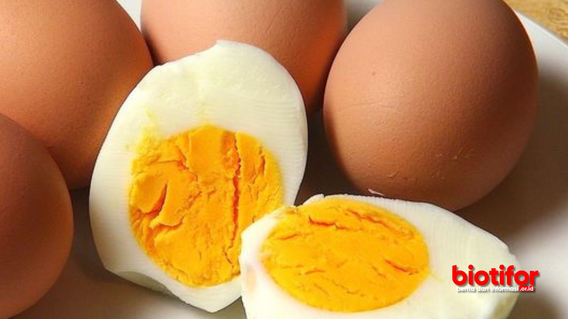 Tanda Telur Rebus Matang - Cara Memasak Telur Rebus Hingga Matang Sempurna