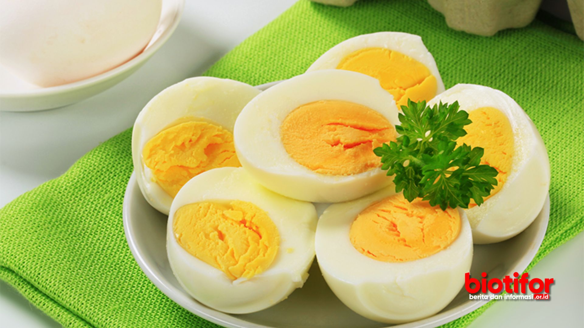 Cara Masak Telur Rebus yang Lezat Dengan Resep Praktis - Biotifor