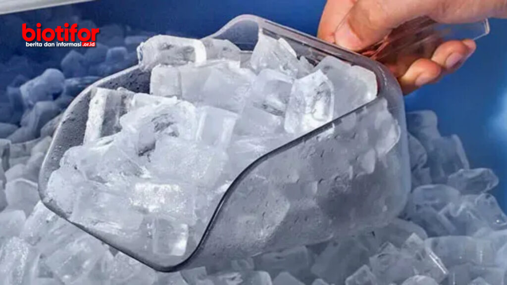 Es Batu, Manfaat Di Balik Sensasi Dingin - Biotifor