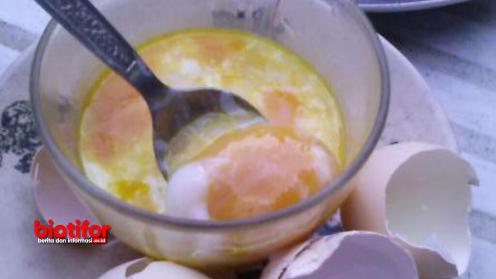 khasiat minum kuning telur campur madu Badan Terasa Bugar Kembali