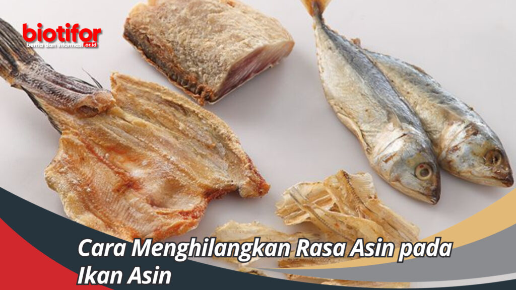 Cara Menghilangkan Rasa Asin pada Ikan Asin Sangat Mudah Dan Simple
