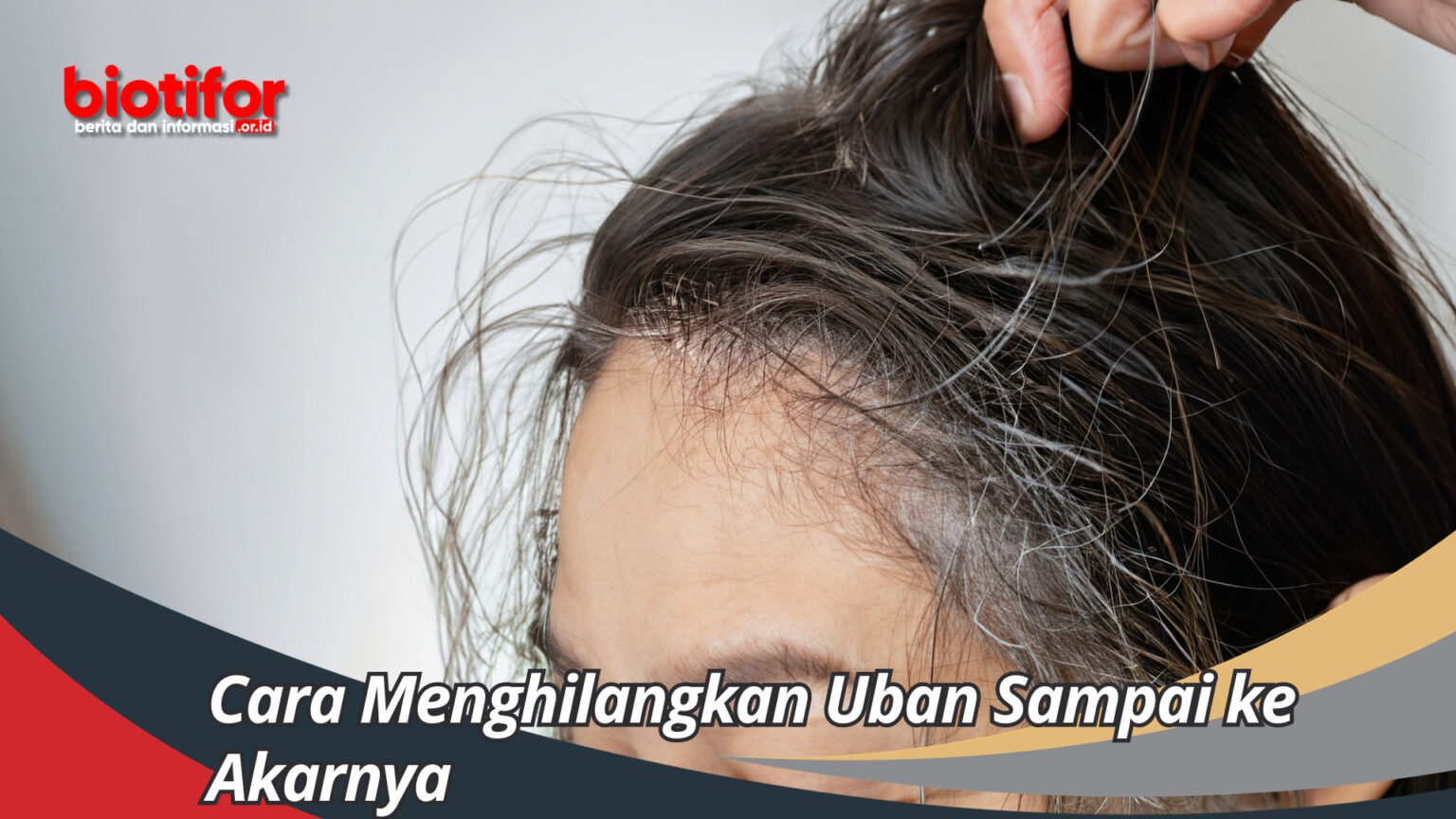 Cara Menghilangkan Uban Sampai ke Akarnya Tips Rambut Hitam