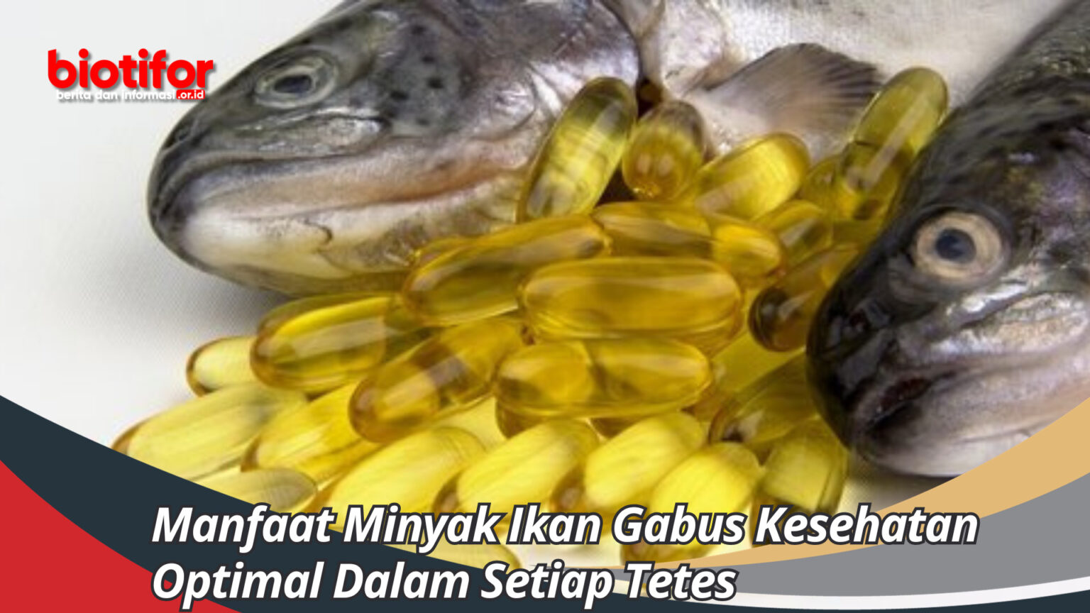 Manfaat Minyak Ikan Gabus Kesehatan Optimal Dalam Setiap Tetes
