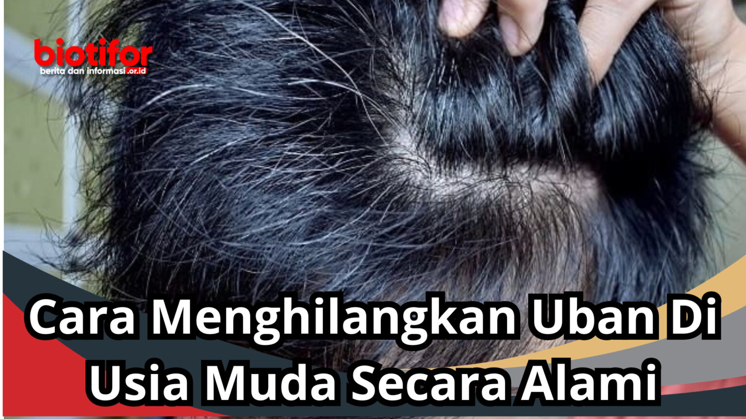 Cara Menghilangkan Uban Di Usia Muda Secara Alami - Biotifor