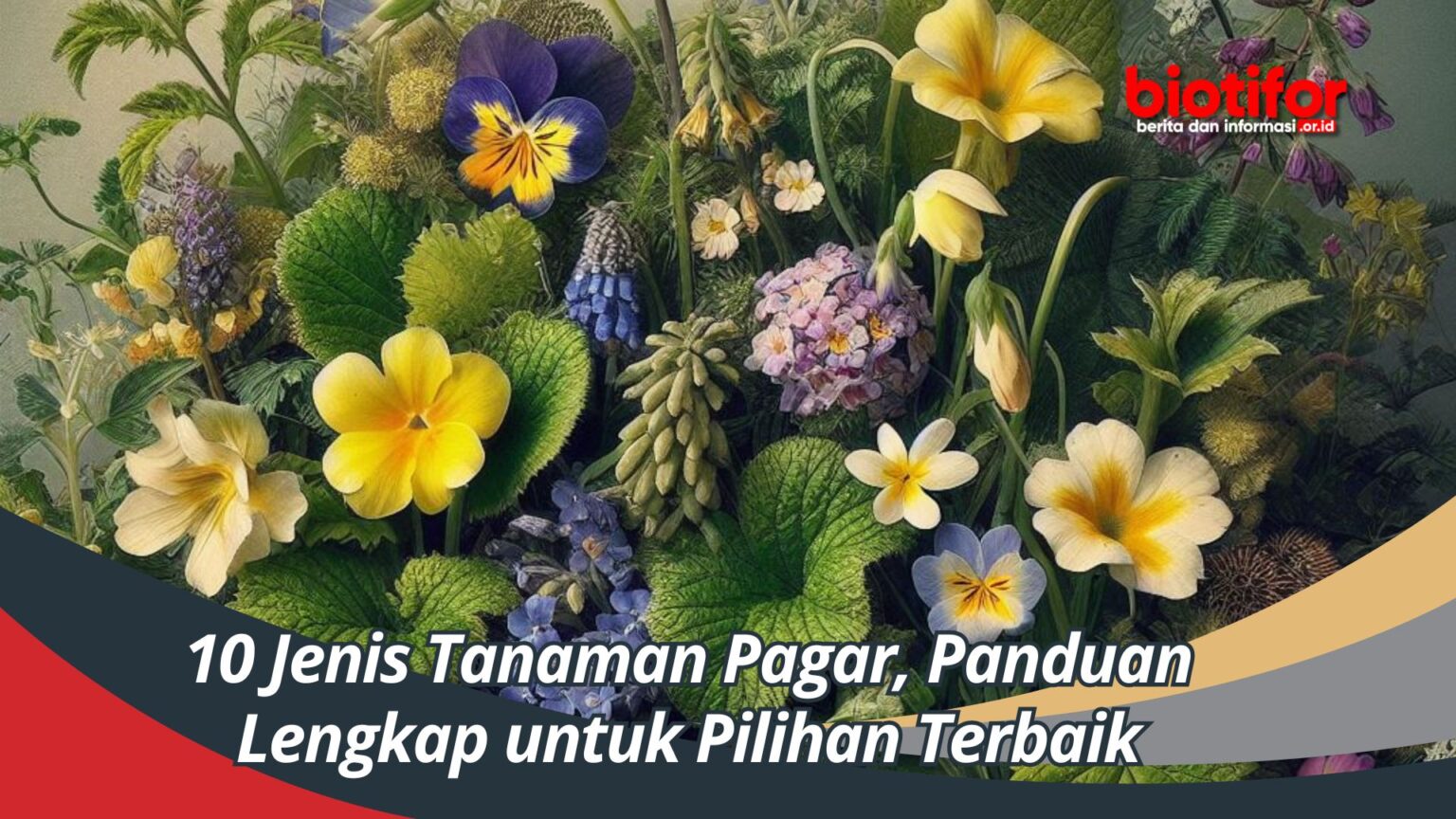 10 Jenis Tanaman Pagar, Panduan Lengkap untuk Pilihan Terbaik - Biotifor