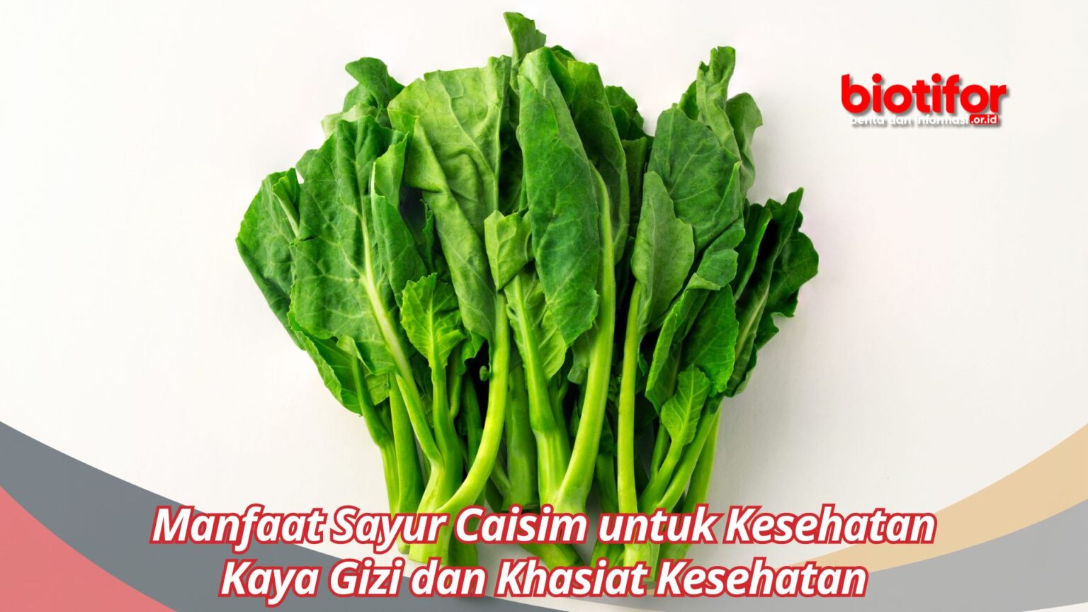 Manfaat Sayur Caisim untuk Kesehatan, Kaya Gizi dan Khasiat Kesehatan ...