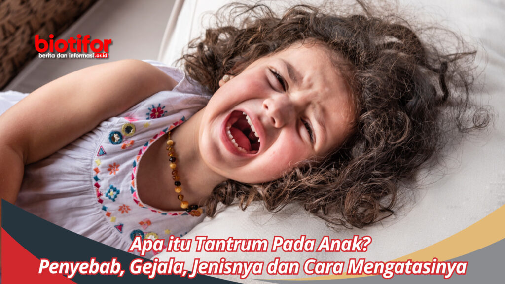 Apa itu Tantrum Pada Anak? Penyebab, Gejala, Jenisnya dan Cara Mengatasinya - Biotifor