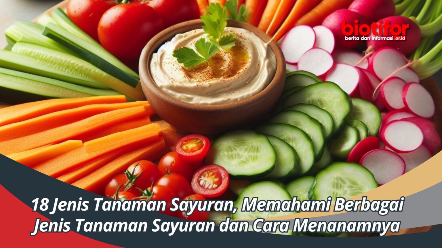 18 Jenis Tanaman Sayuran, Memahami Berbagai Jenis Tanaman Sayuran dan ...