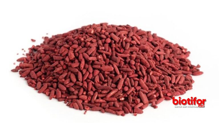 Manfaat Angkak: Keajaiban Kesehatan yang Tersembunyi