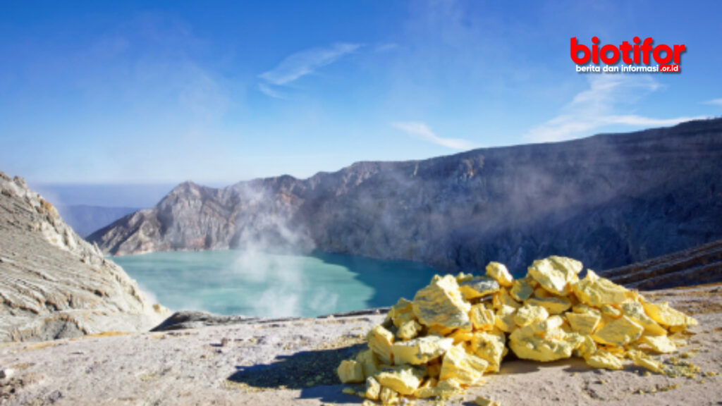 Bahaya Belerang, Risiko dan Pencegahannya - Biotifor