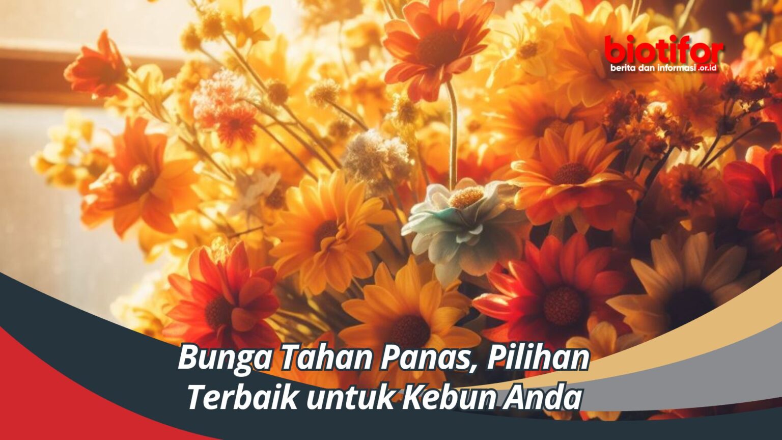 Bunga Tahan Panas, Pilihan Terbaik untuk Kebun Anda - Biotifor