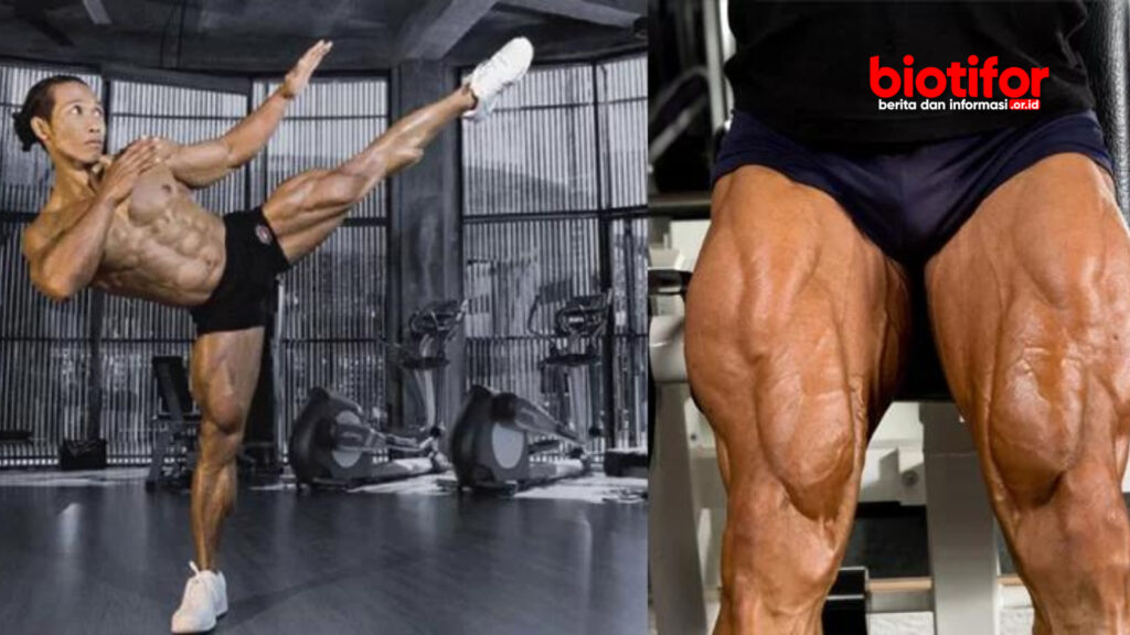 Cara Membentuk Otot Paha Secara Efektif Dan Aman - Biotifor