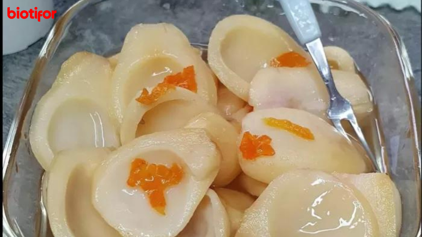 Cara Membuat Manisan Salak yang Lezat dan Menyehatkan - Biotifor