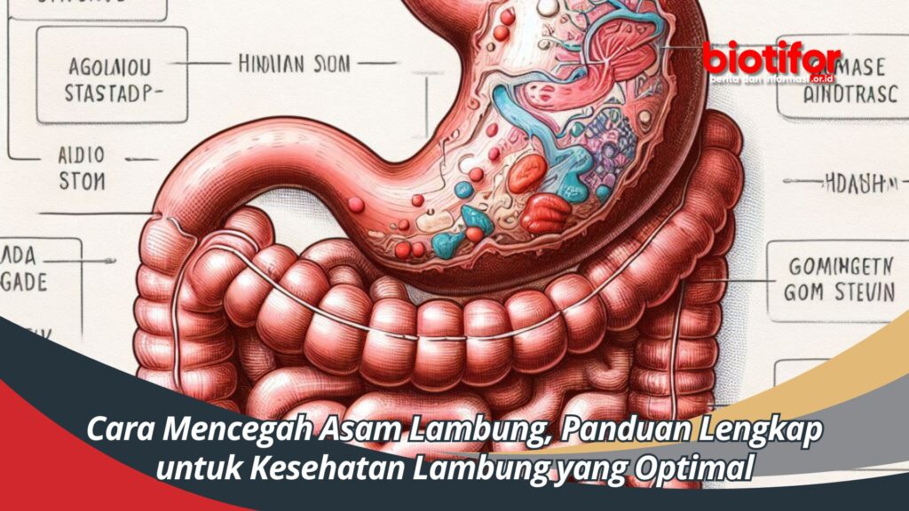 Cara Mencegah Asam Lambung, Panduan Lengkap untuk Kesehatan Lambung ...