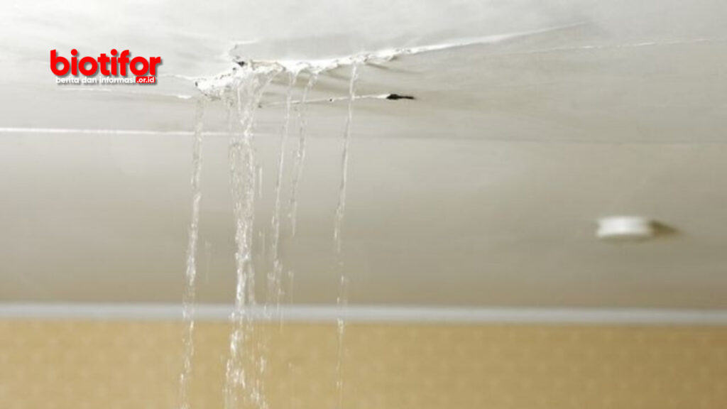 Atap Bocor? Jangan Panik, Ini Cara Mengatasi Atap Bocor Dengan Mudah ...