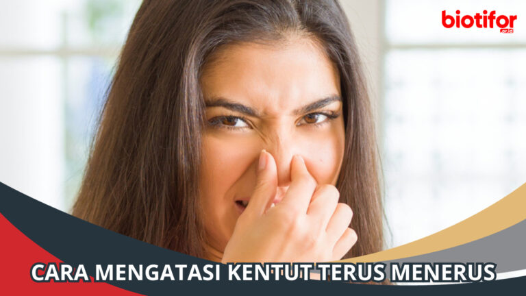 Cara Mengatasi Kentut Terus Menerus, Simak! - Biotifor