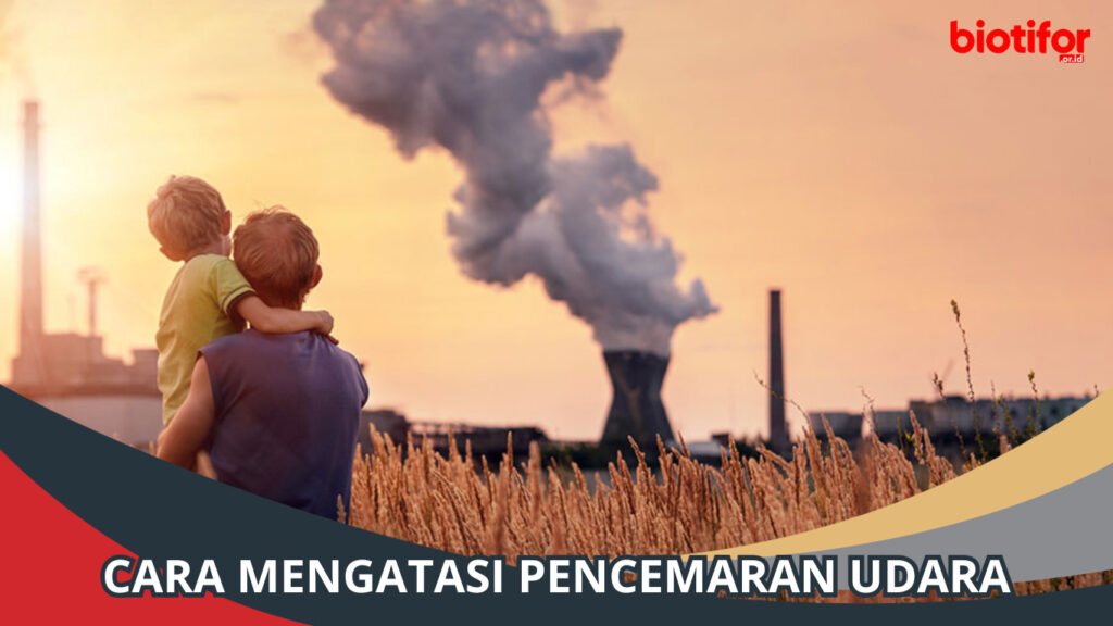 Cara Mengatasi Pencemaran Udara, Simak! - Biotifor