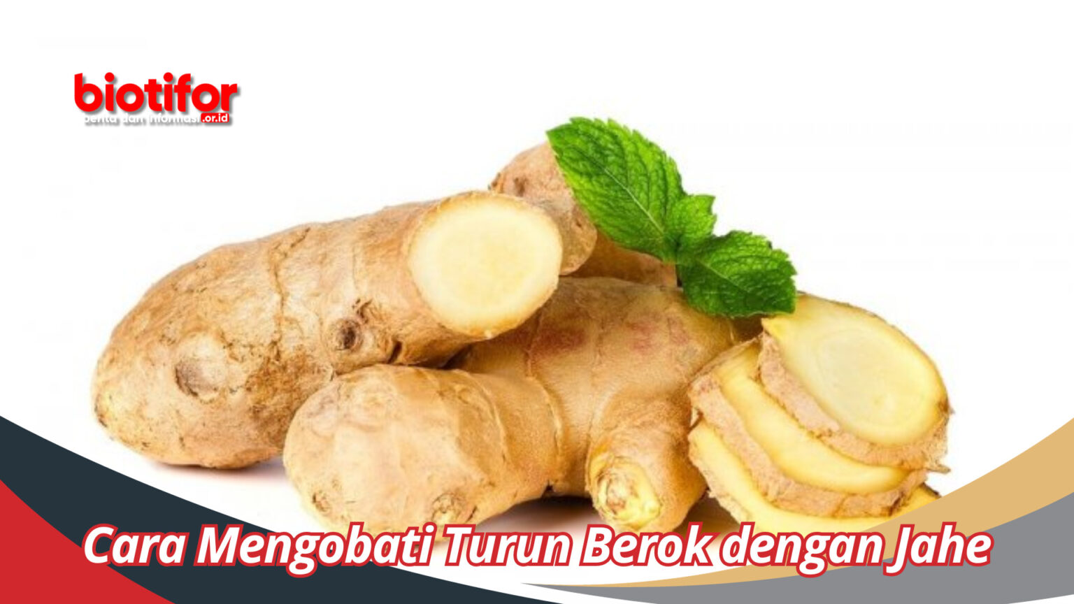 Cara Mengobati Turun Berok dengan Jahe - Biotifor