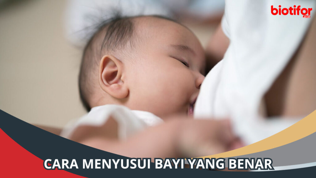 Cara Menyusui Bayi yang Benar: Panduan Lengkap - Biotifor Cara Menyusui Bayi yang Benar: Panduan Lengkap - Biotifor