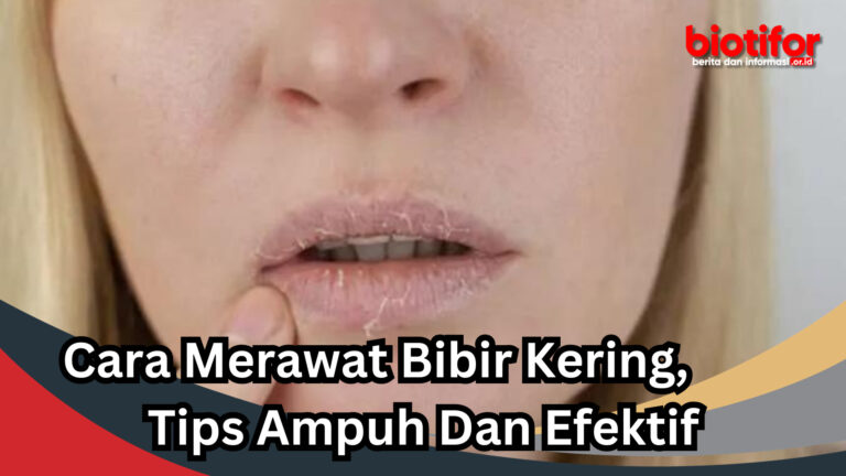 Cara Merawat Bibir Kering, Tips Ampuh Dan Efektif - Biotifor