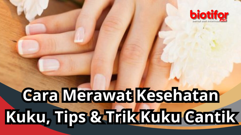 Cara Merawat Kesehatan Kuku, Tips & Trik Kuku Cantik - Biotifor