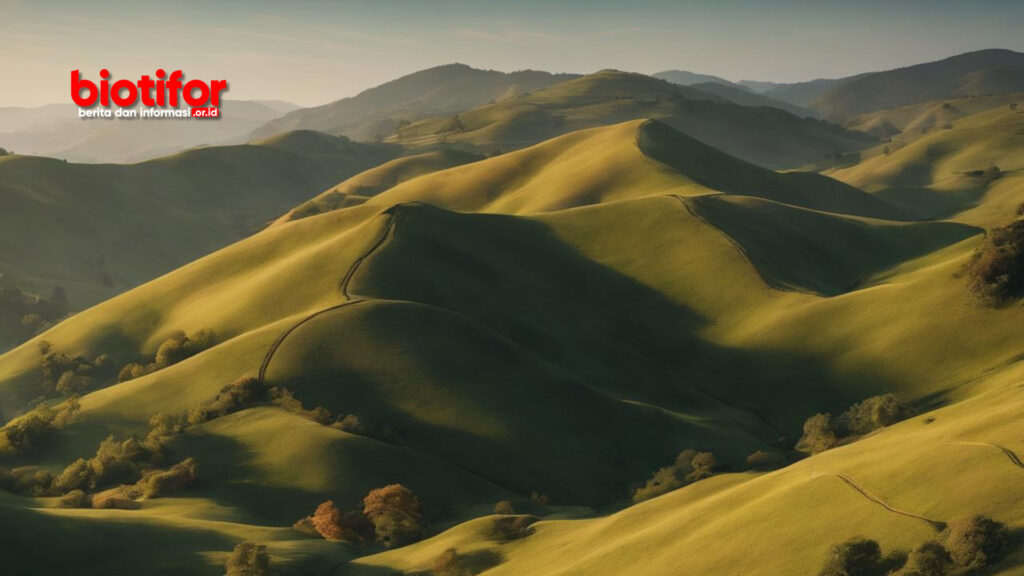 Contoh Bukit Di Indonesia: Keindahan Dalam Kehidupan - Biotifor