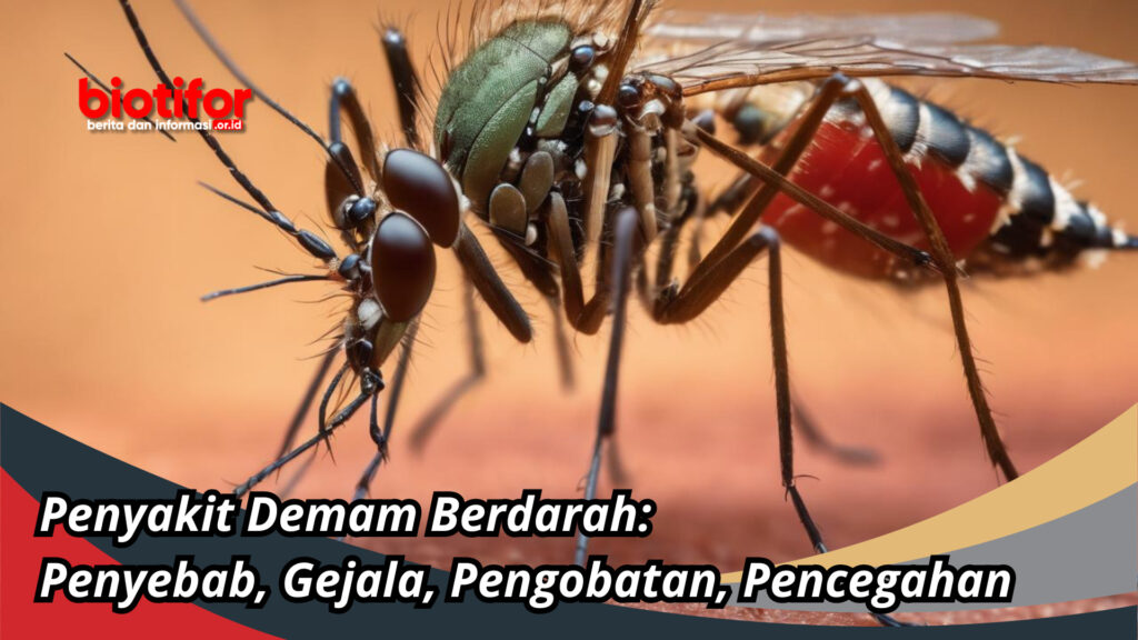 Penyakit Demam Berdarah: Penyebab, Gejala, Pengobatan, Pencegahan - Biotifor