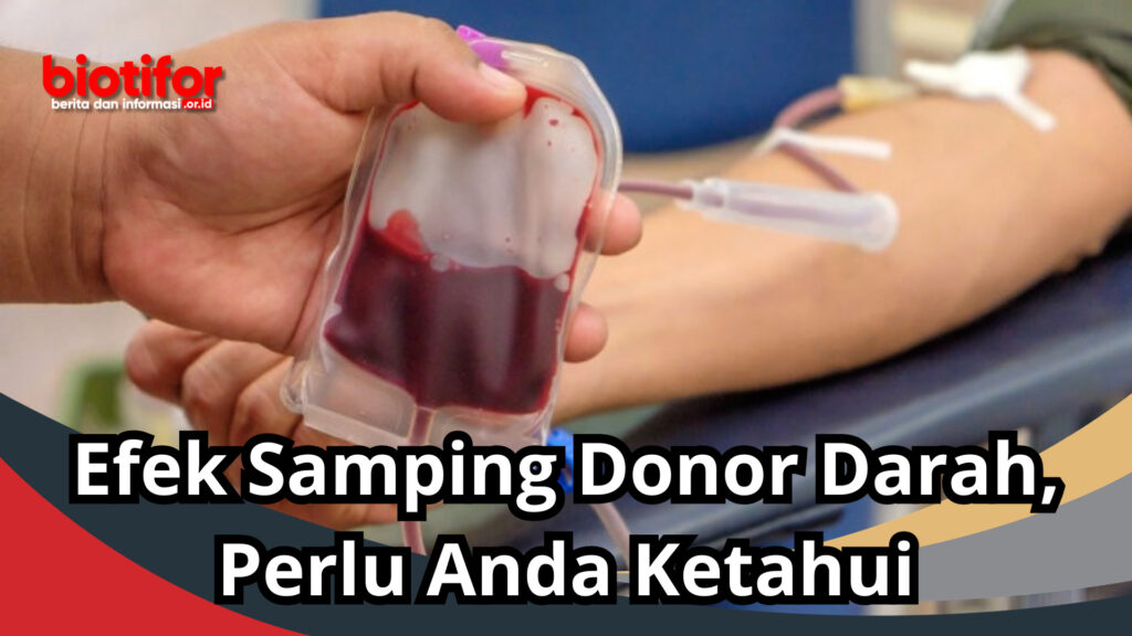Efek Samping Donor Darah, Perlu Anda Ketahui - Biotifor