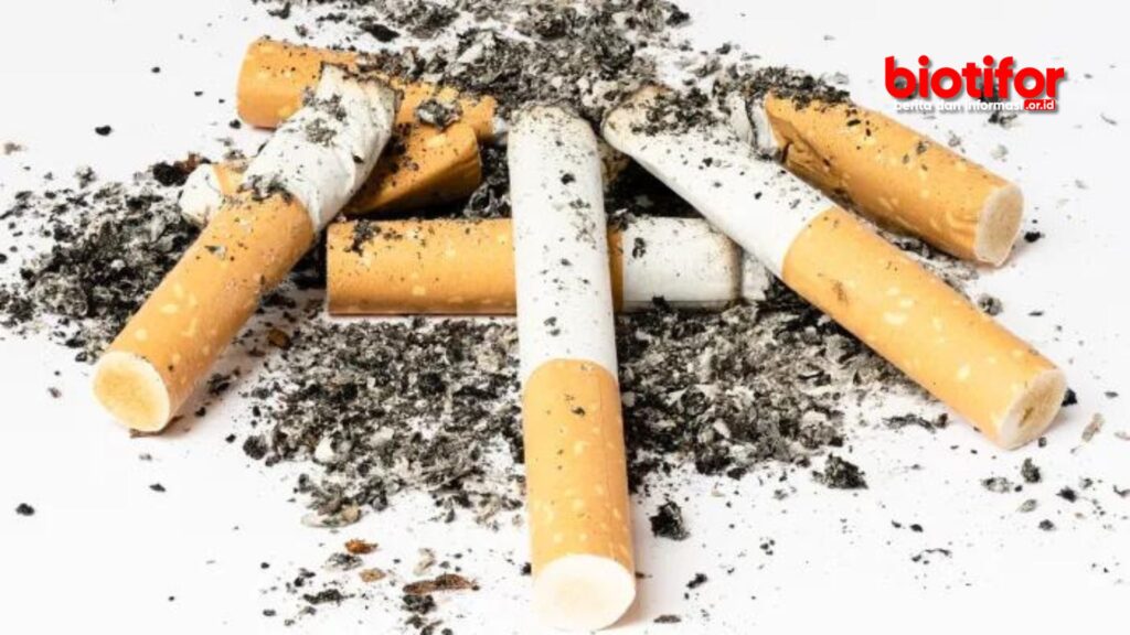 Efek Samping Merokok, Kalian Harus Tahu - Biotifor