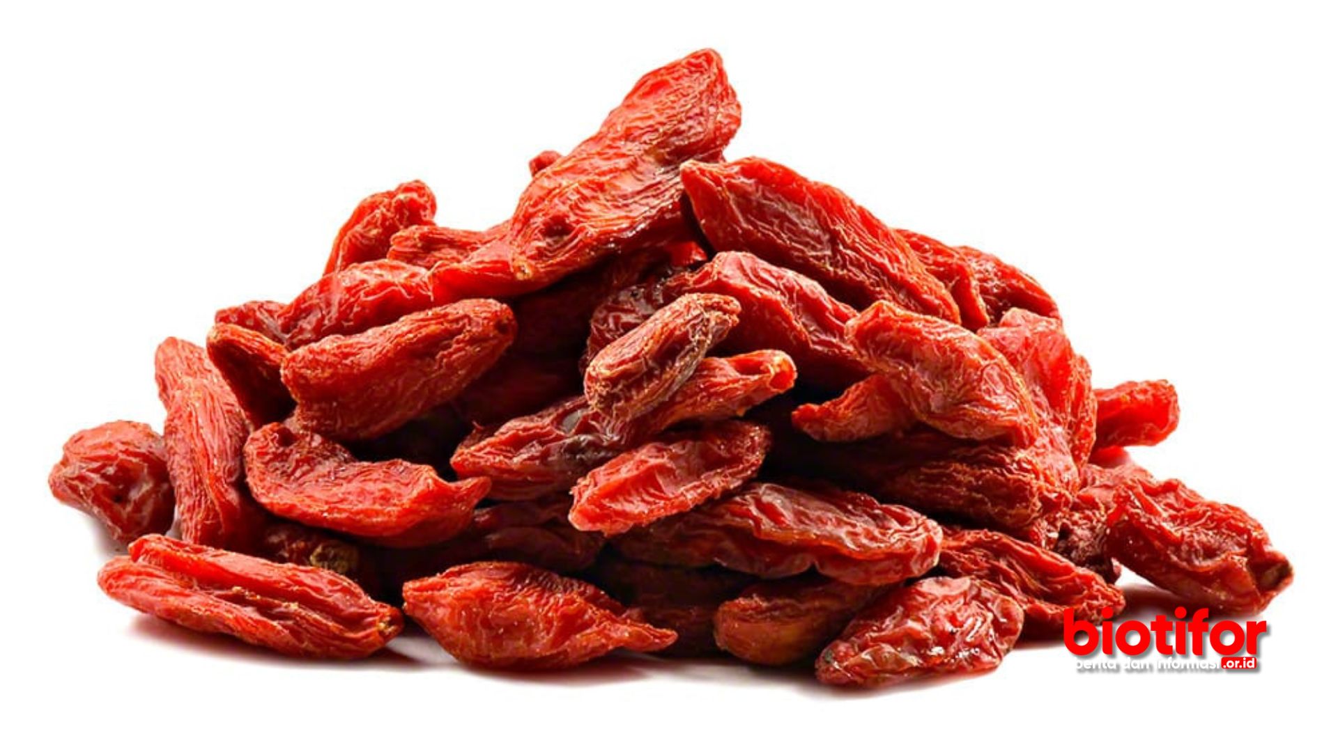 Manfaat Goji Berry, Khasiat Luar Biasa untuk Kesehatan