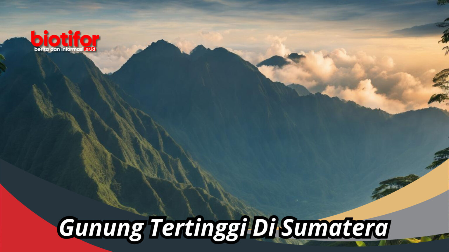 Gunung Tertinggi Di Sumatera: Destinasi Pendakian yang Menawan - Biotifor