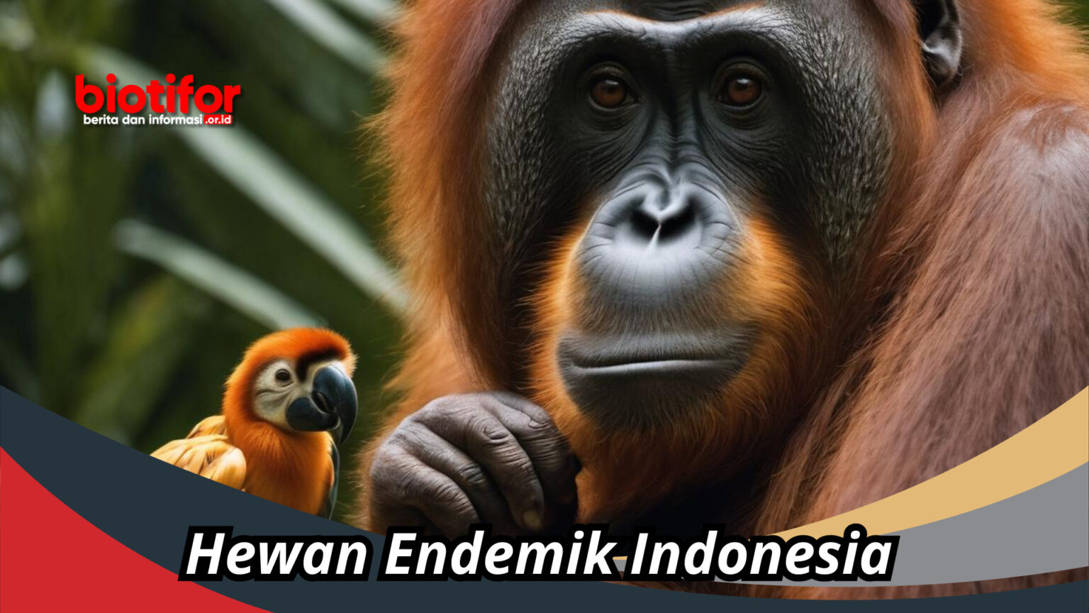 10 Hewan Endemik Indonesia : Keunikan Keanekaragaman Hayati