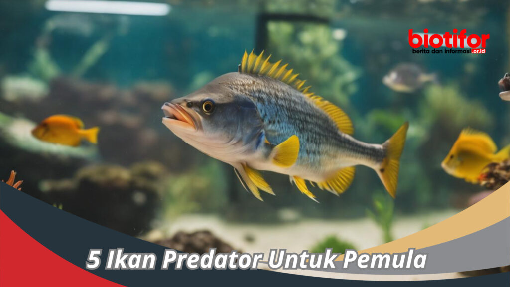 Ikan Predator Untuk Pemula: Paling Gampang Dirawat! - Biotifor