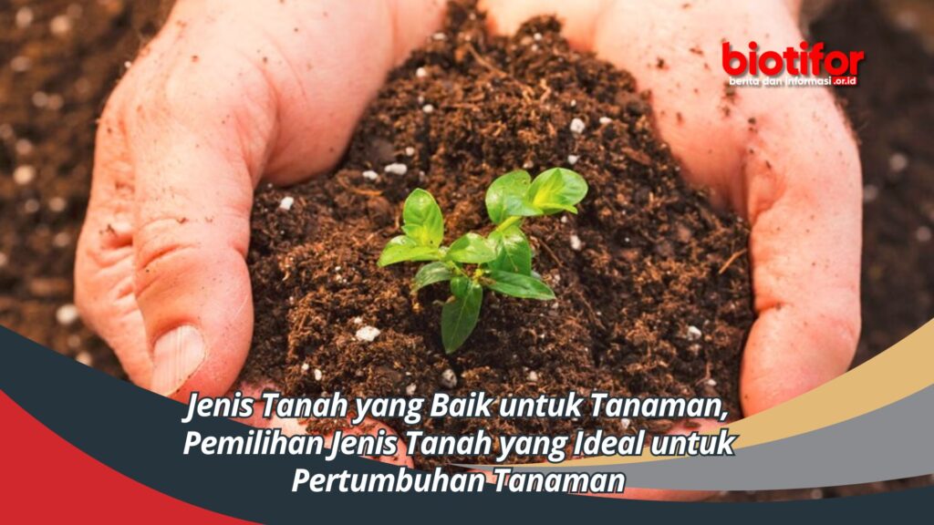 Jenis Tanah yang Baik untuk Tanaman, Pemilihan Jenis Tanah yang Ideal untuk Pertumbuhan Tanaman ...