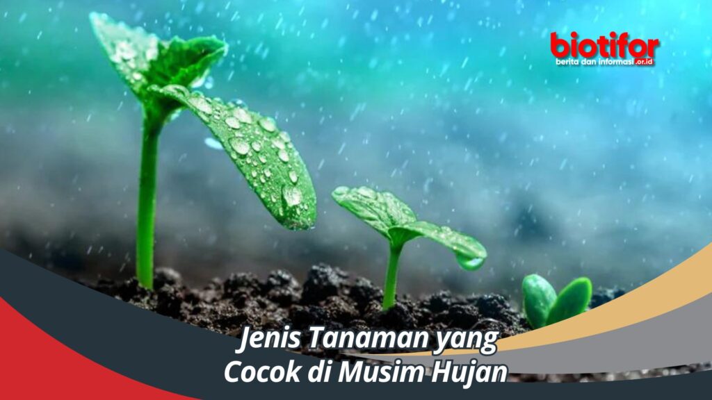 10 Jenis Tanaman Pagar, Panduan Lengkap untuk Pilihan Terbaik - Biotifor