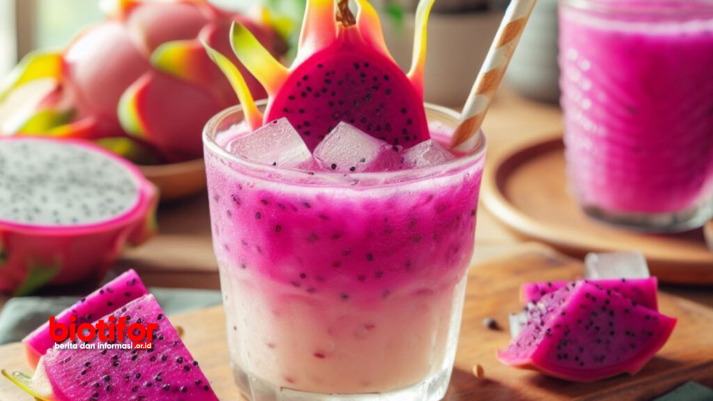 Cara Membuat Jus Buah Naga yang Segar dan Sehat - Biotifor