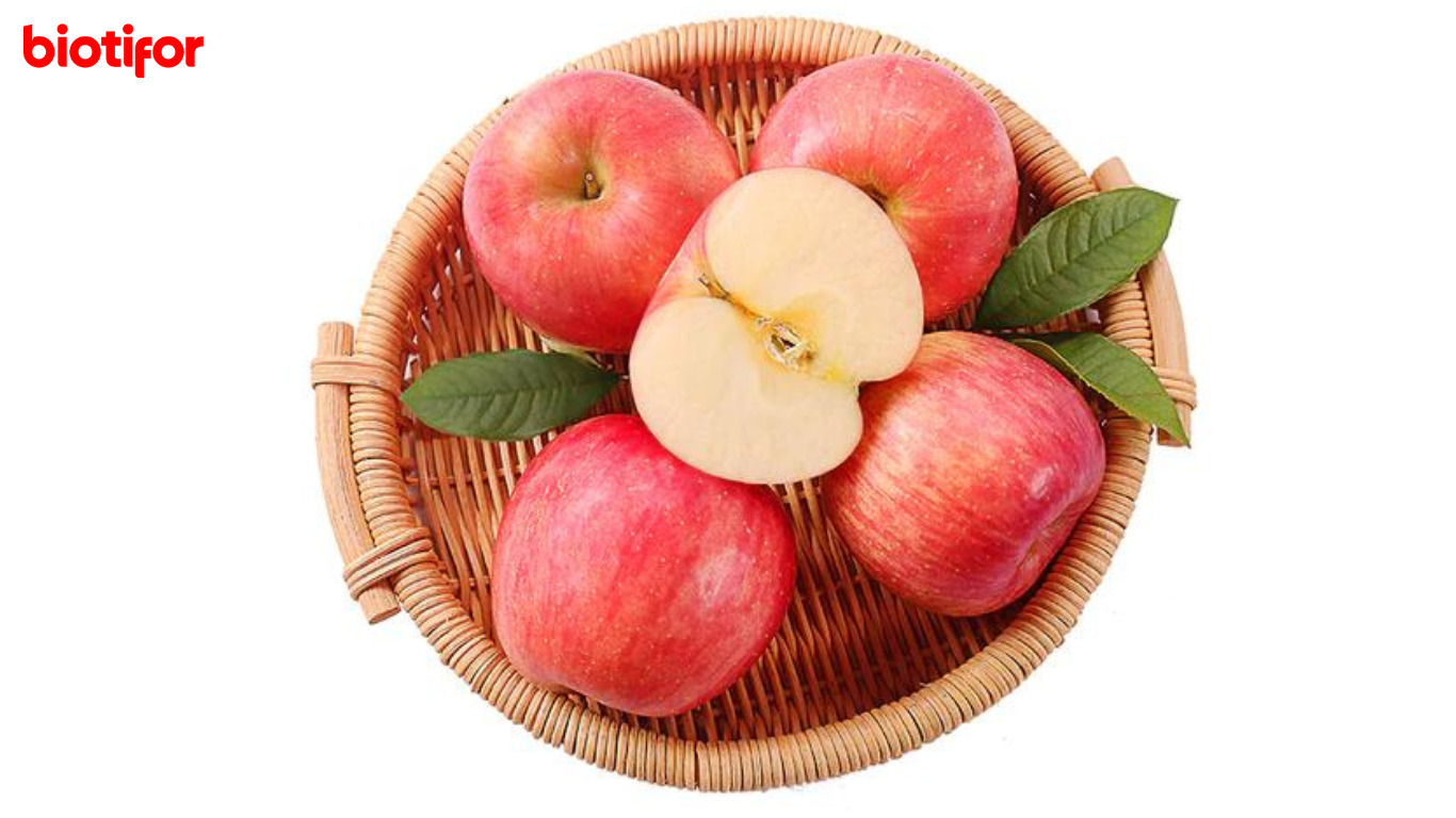 Manfaat Apel Fuji Lebih Dari Sekadar Buah Manis Biotifor