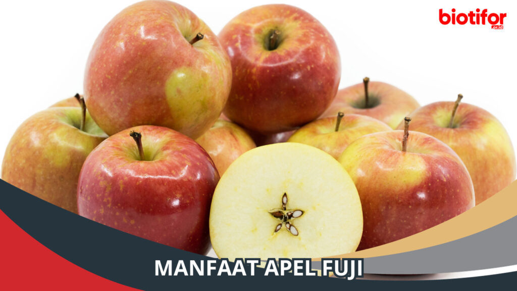 Manfaat Apel Fuji, Lebih dari Sekadar Buah Manis! - Biotifor