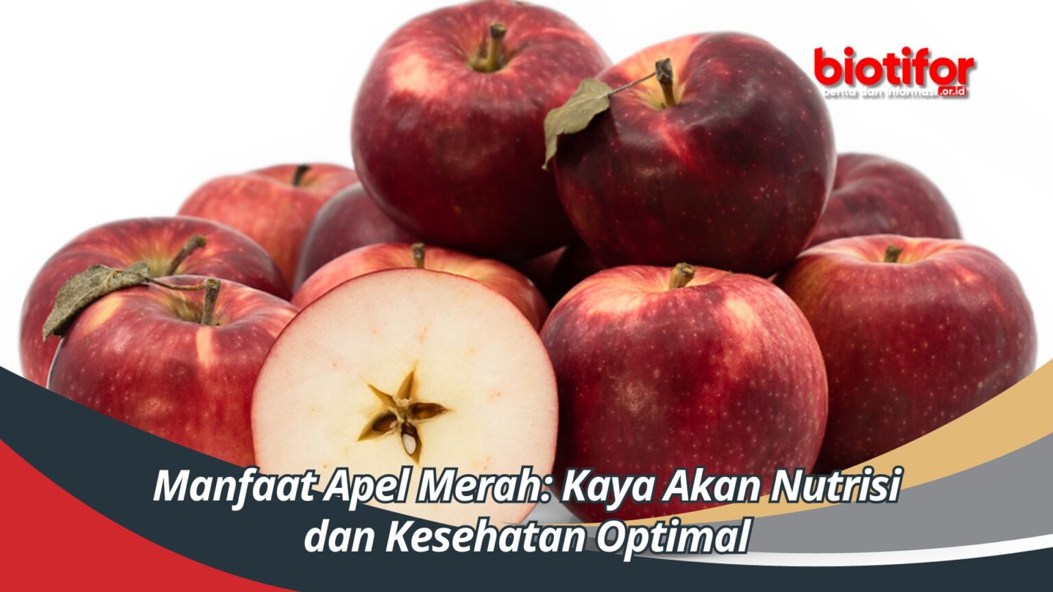 Jenis Dan Contoh Buah Berry : Kaya Akan Nutrisi - Biotifor