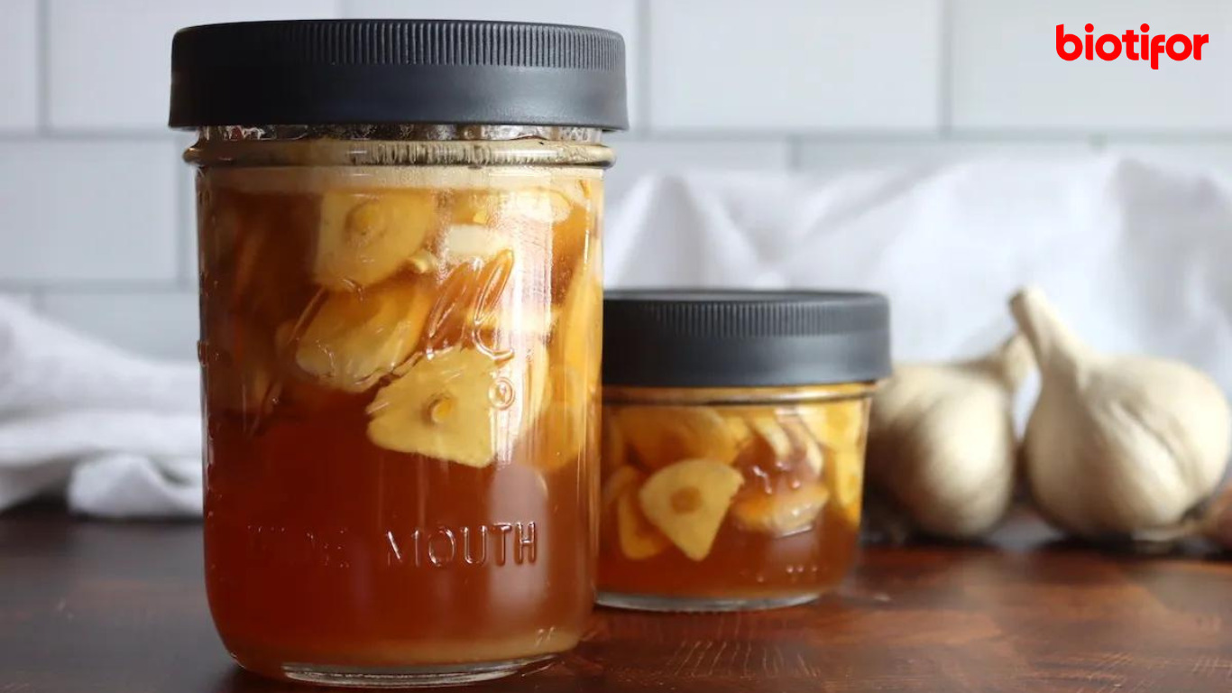 Manfaat Bawang Putih dan Madu: Kombinasi untuk Kesehatan - Biotifor