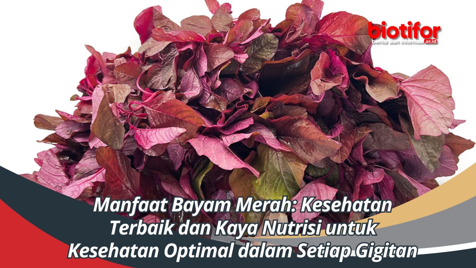 Manfaat Bayam Merah: Kesehatan Terbaik dan Kaya Nutrisi untuk Kesehatan ...