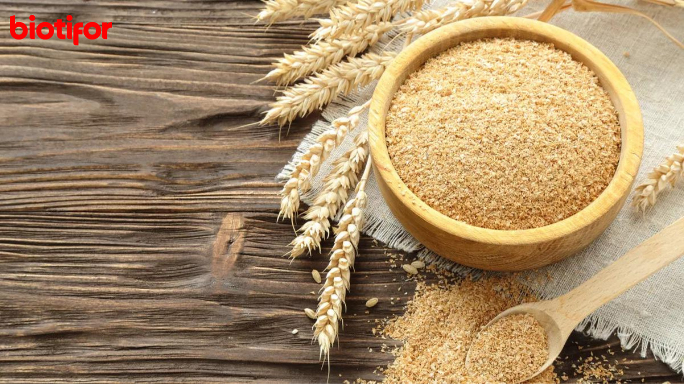 8 Manfaat Bekatul Bagi Kesehatan, Simak! - Biotifor