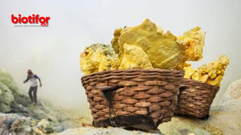 Manfaat Belerang untuk Kulit, Mengungkap Rahasia Kulit Cantik - Biotifor