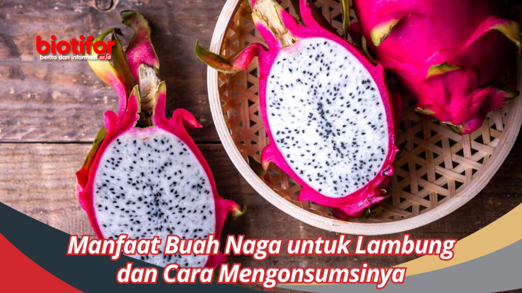 Manfaat Buah Naga untuk Lambung dan Cara Mengonsumsinya - Biotifor