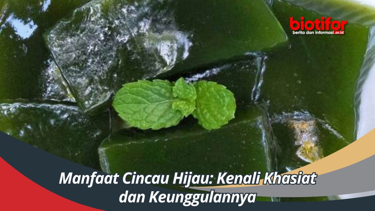 Manfaat Cincau Hijau: Kenali Khasiat dan Keunggulannya - Biotifor