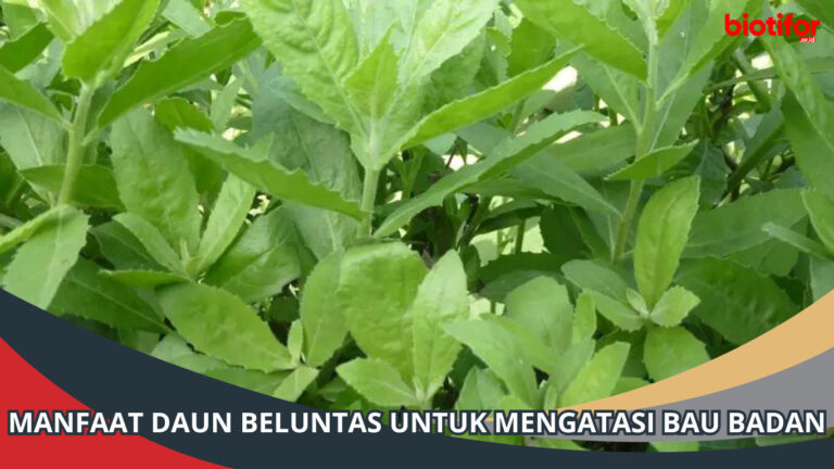 Biotifor - Berita dan Informasi