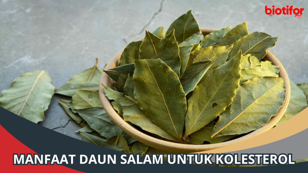 Manfaat Daun Salam untuk Kolesterol: Obat Alami yang Ampuh - Biotifor