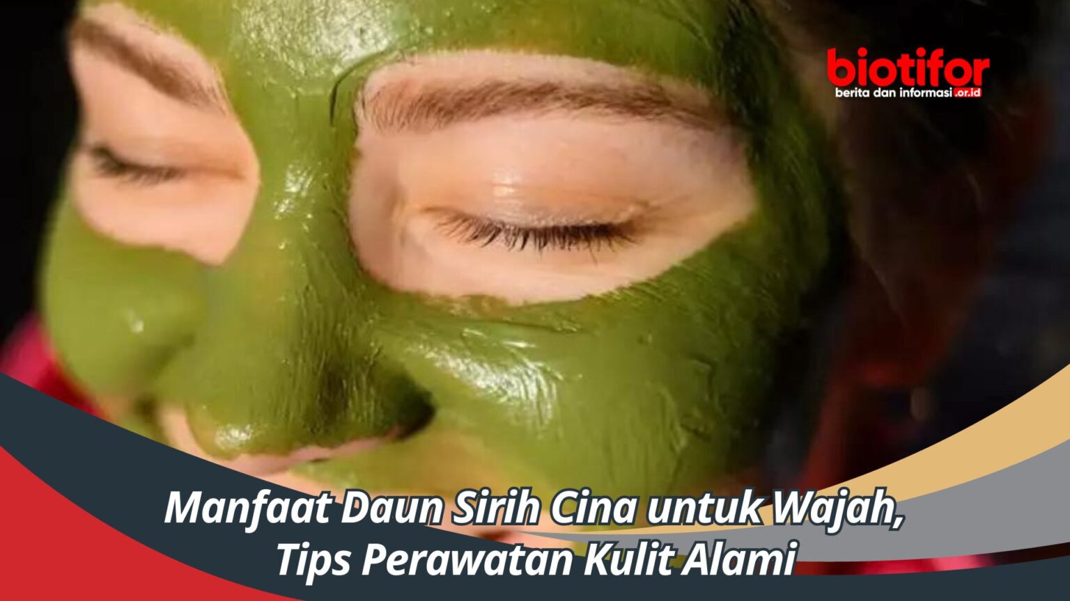 Manfaat Daun Sirih Cina untuk Wajah, Tips Perawatan Kulit Alami - Biotifor